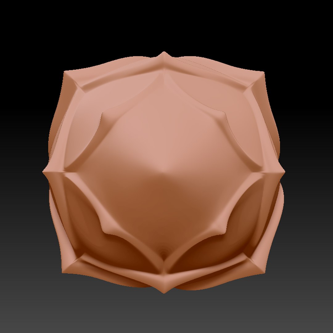 Lotus Flower 3D Model - TurboSquid 2069553