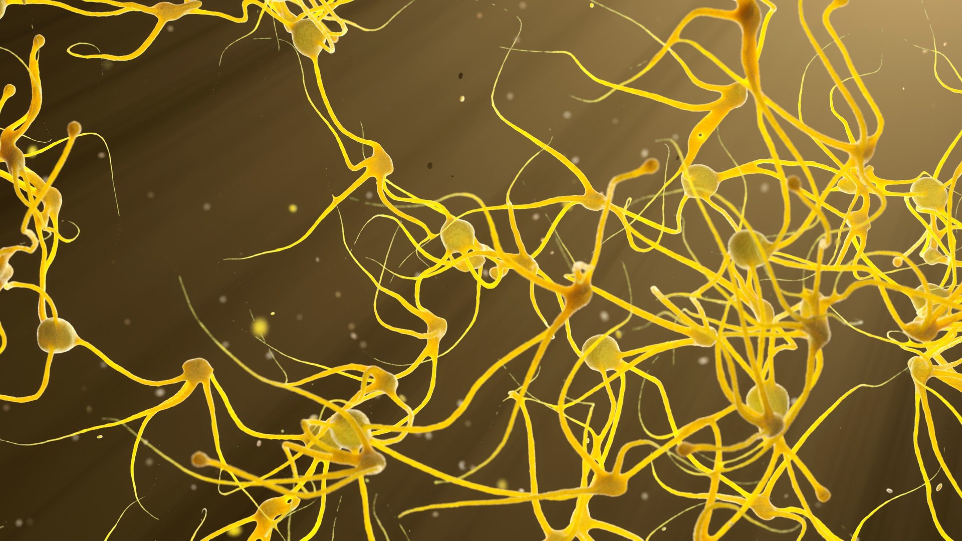 Neurons Doctor Model - TurboSquid 1468724