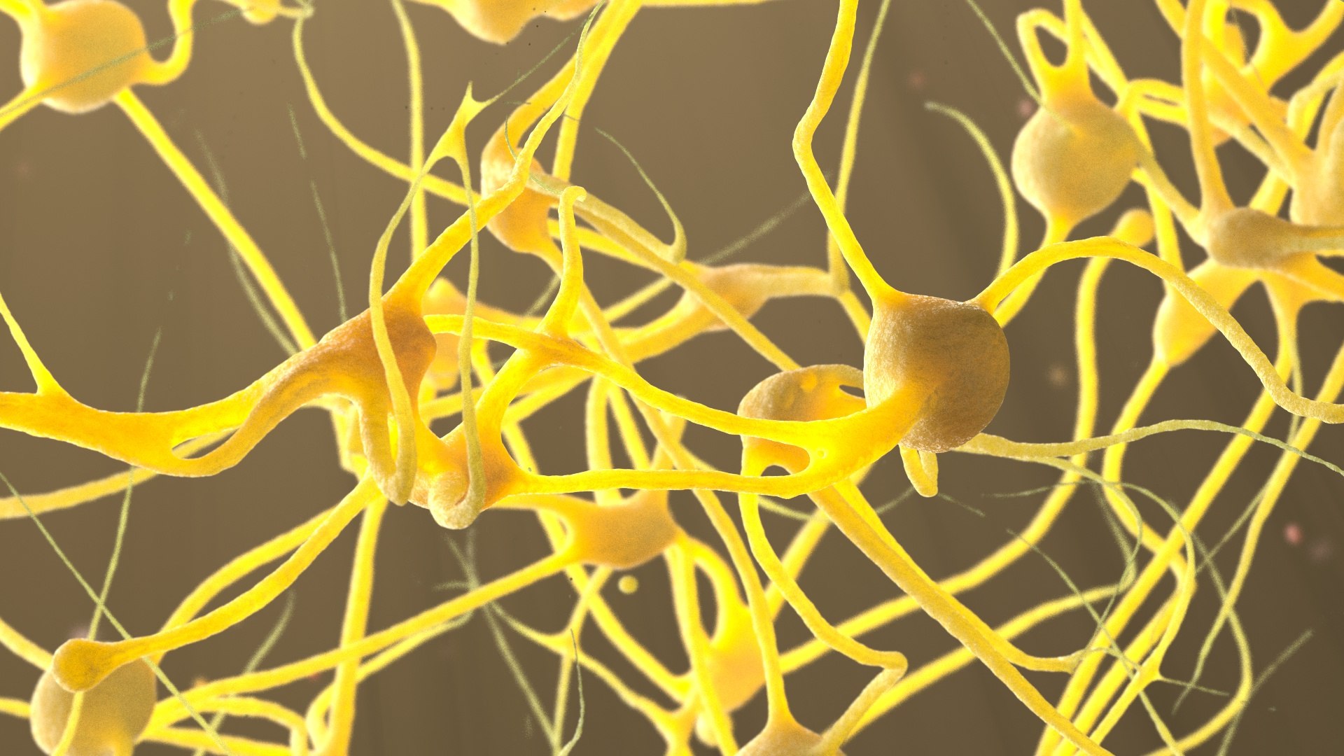 Neurons Doctor Model - TurboSquid 1468724