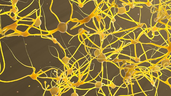 Neurons doctor model - TurboSquid 1468724