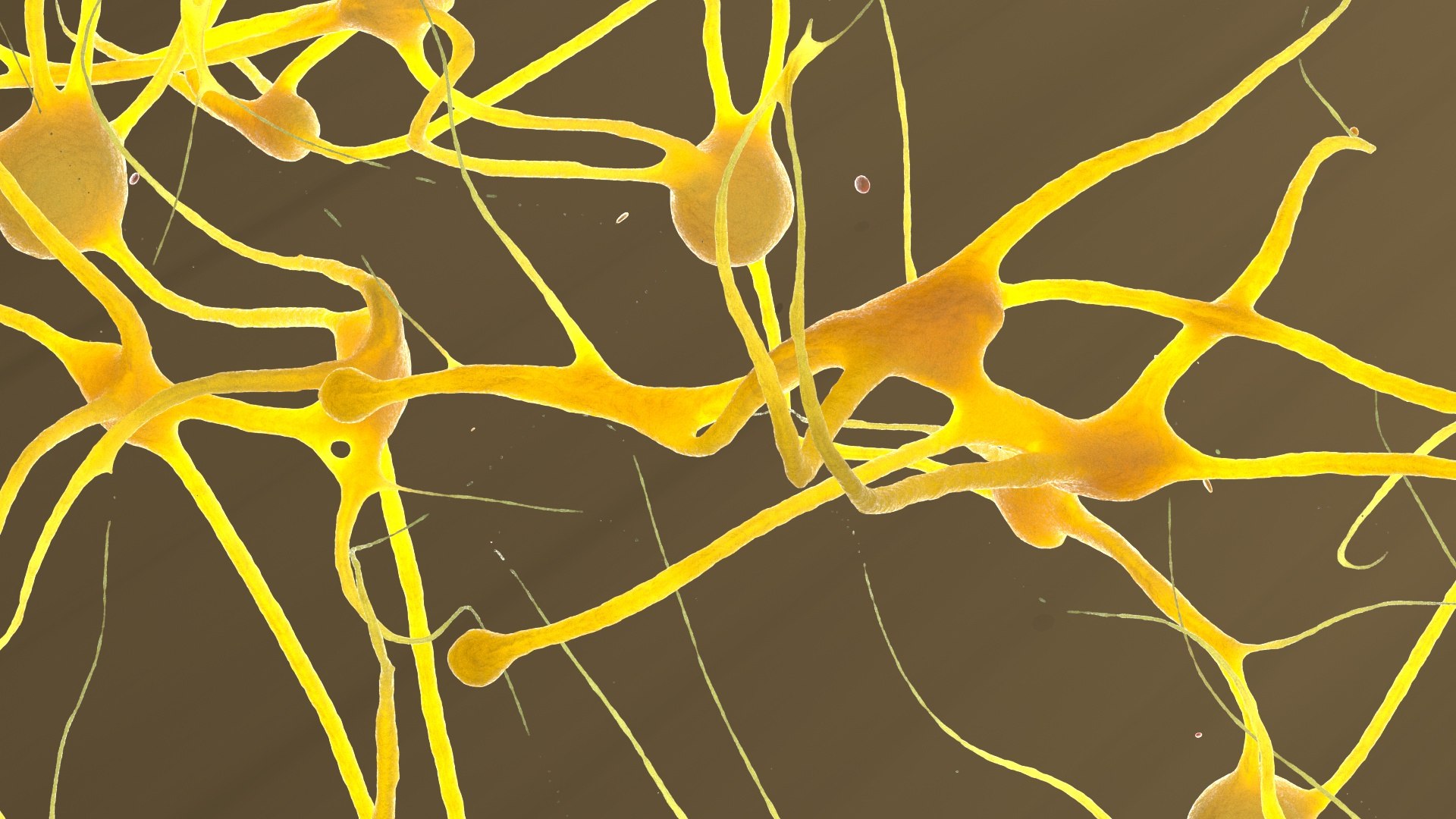 Neurons Doctor Model - TurboSquid 1468724