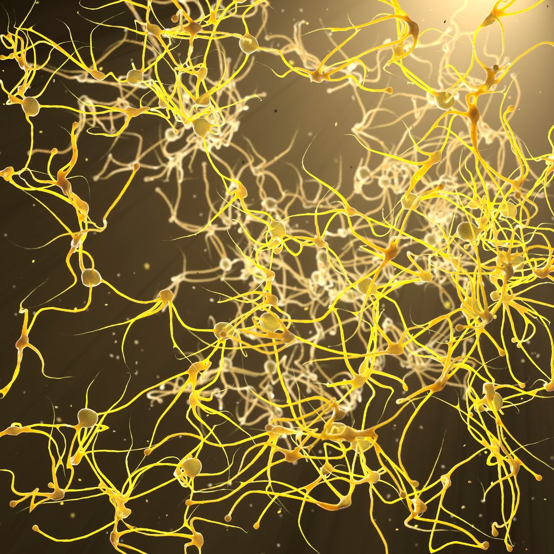 Neurons doctor model - TurboSquid 1468724