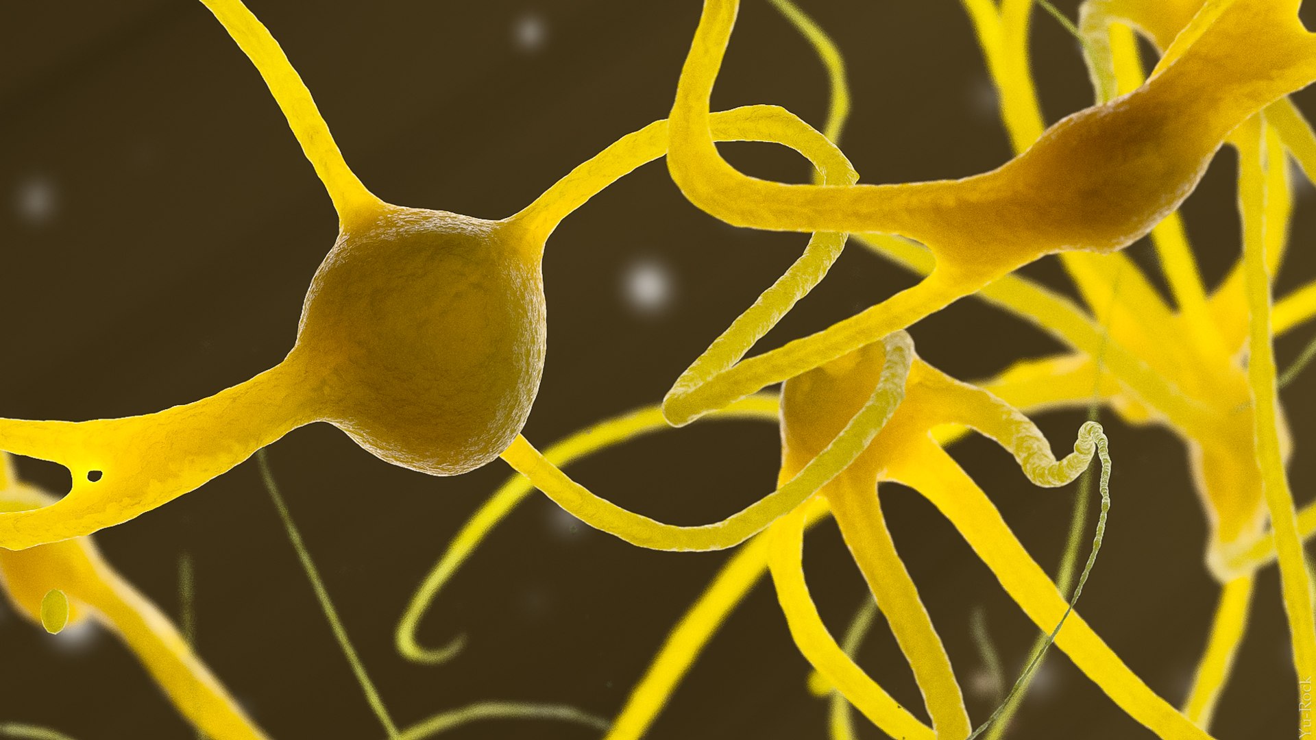 Neurons Doctor Model - TurboSquid 1468724