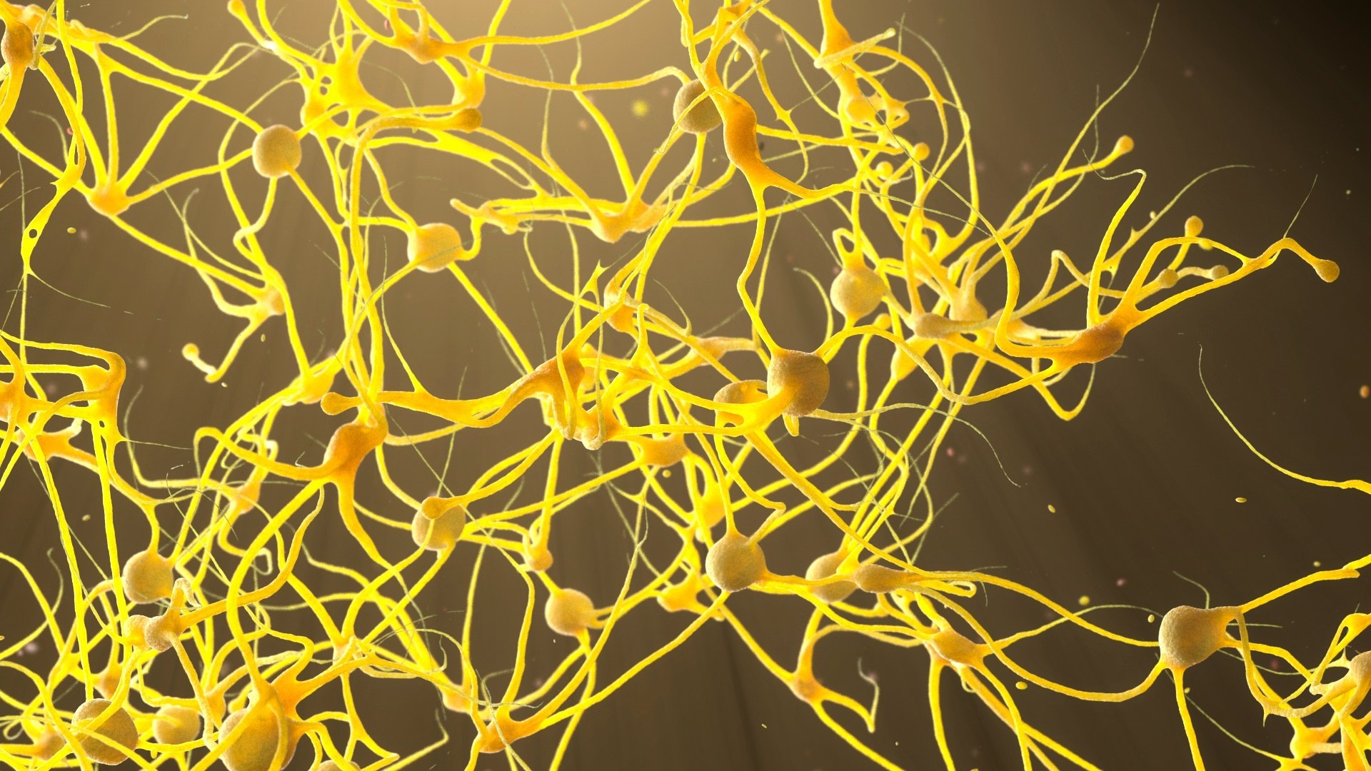 Neurons Doctor Model - TurboSquid 1468724