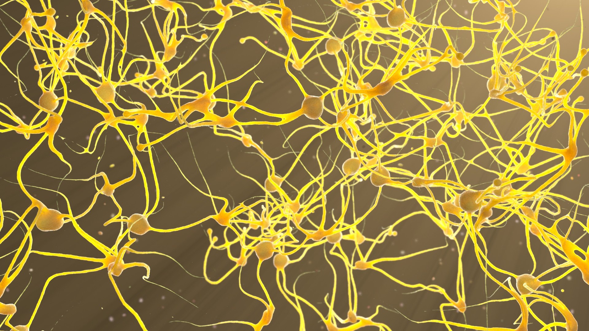 Neurons Doctor Model - TurboSquid 1468724