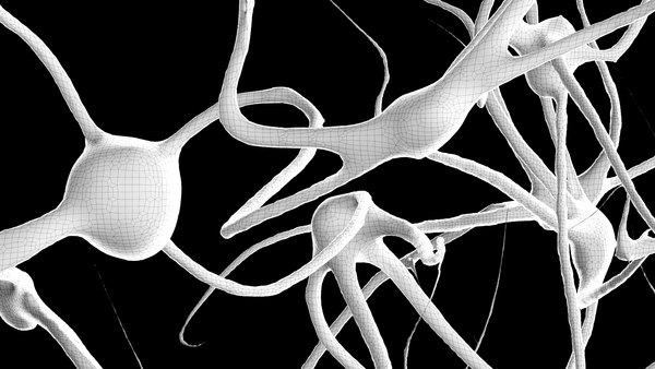Neurons doctor model - TurboSquid 1468724