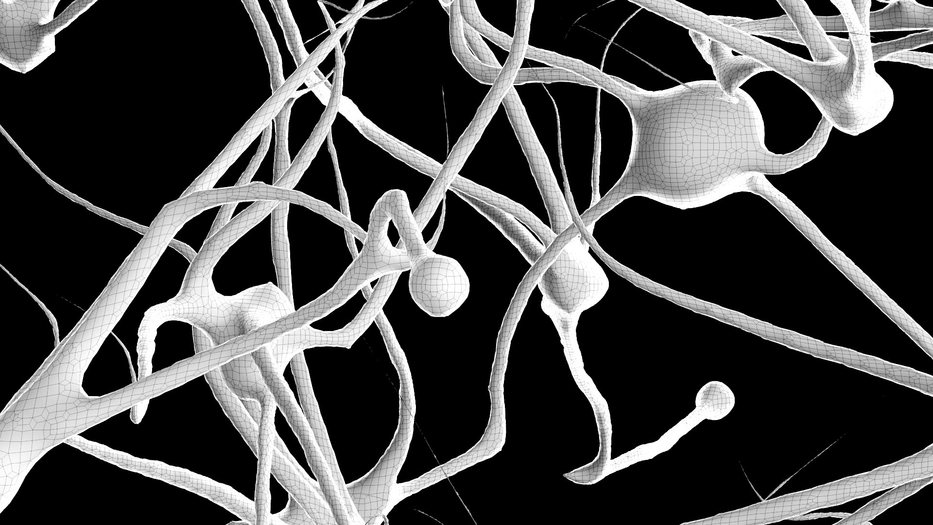 Neurons Doctor Model - TurboSquid 1468724