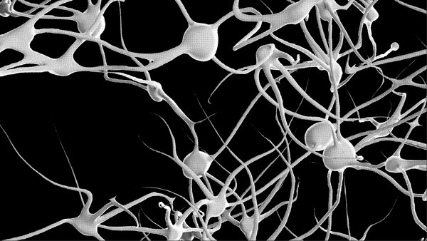 Neurons doctor model - TurboSquid 1468724