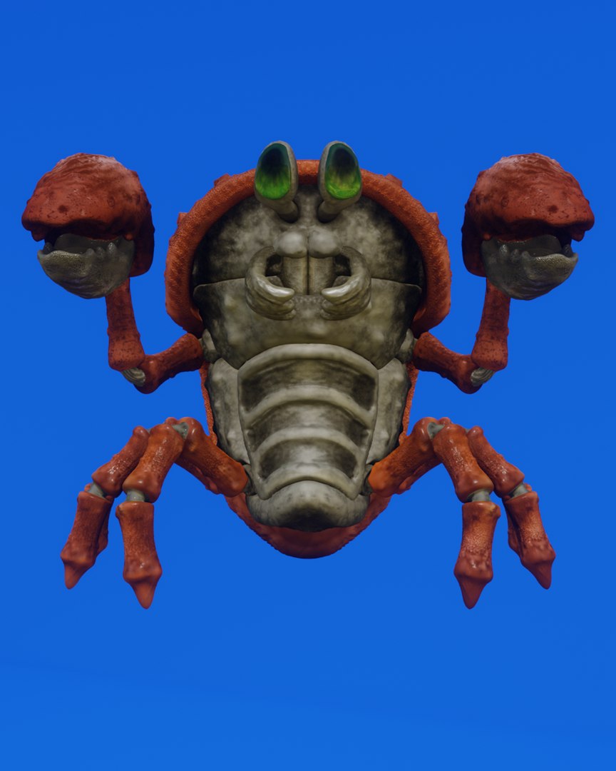 STL METAL SLUG CRAB SUPPORT - HUGE KONG CRABS - OHUMEIN CONGA 3D Model - TurboSquid 2221200