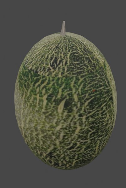3D melon - TurboSquid 1604483