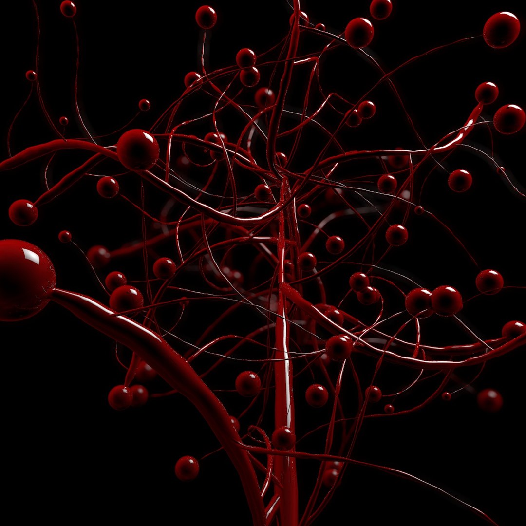 Cinema4d Network Vain