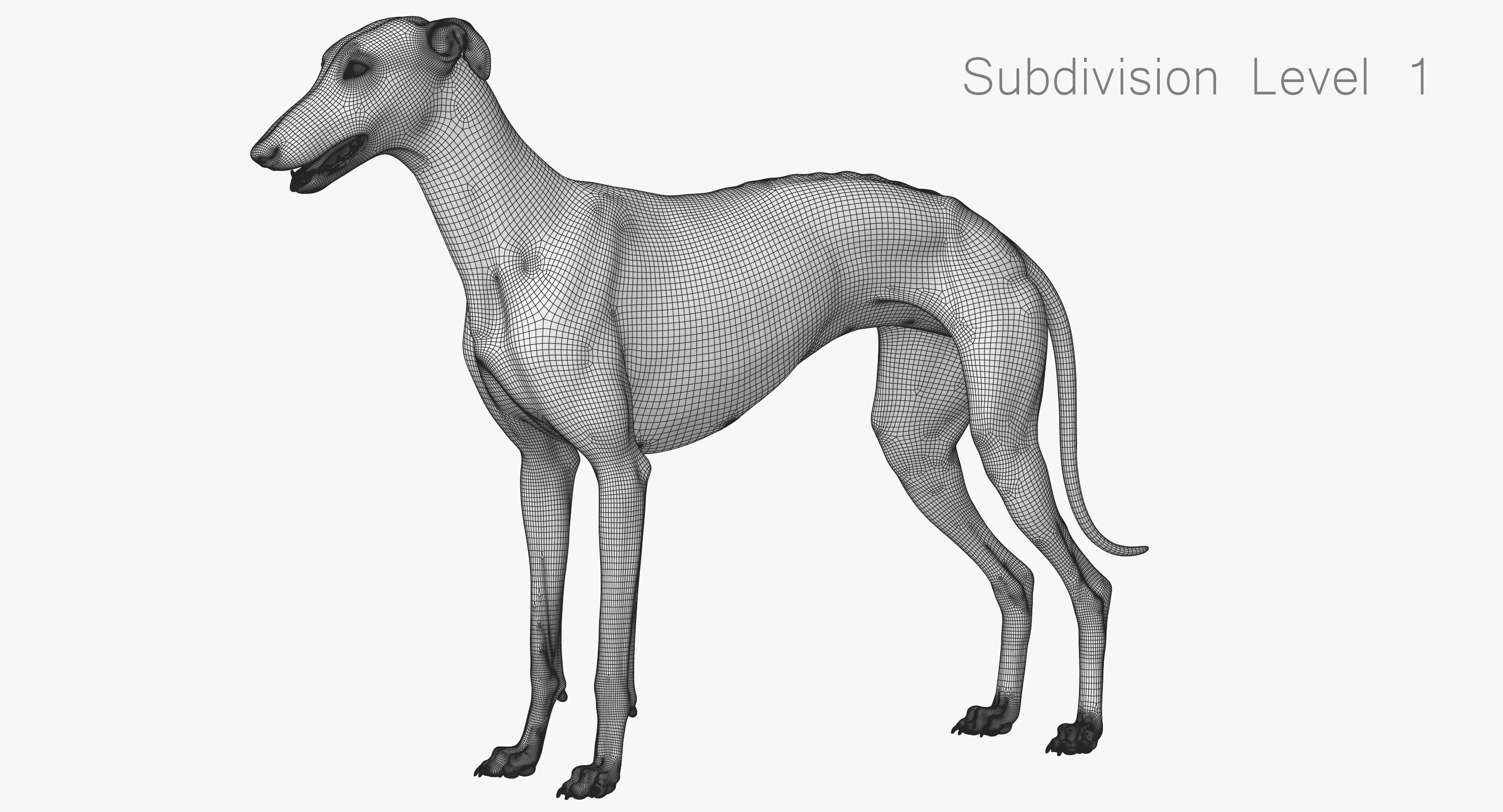 Realistic greyhound fur 3D model - TurboSquid 1545474