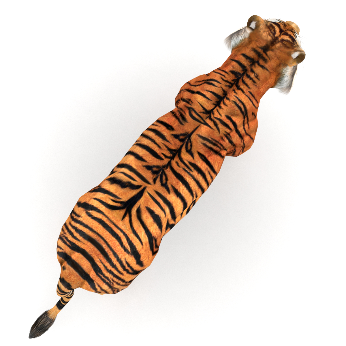 3D model tiger - TurboSquid 1401553