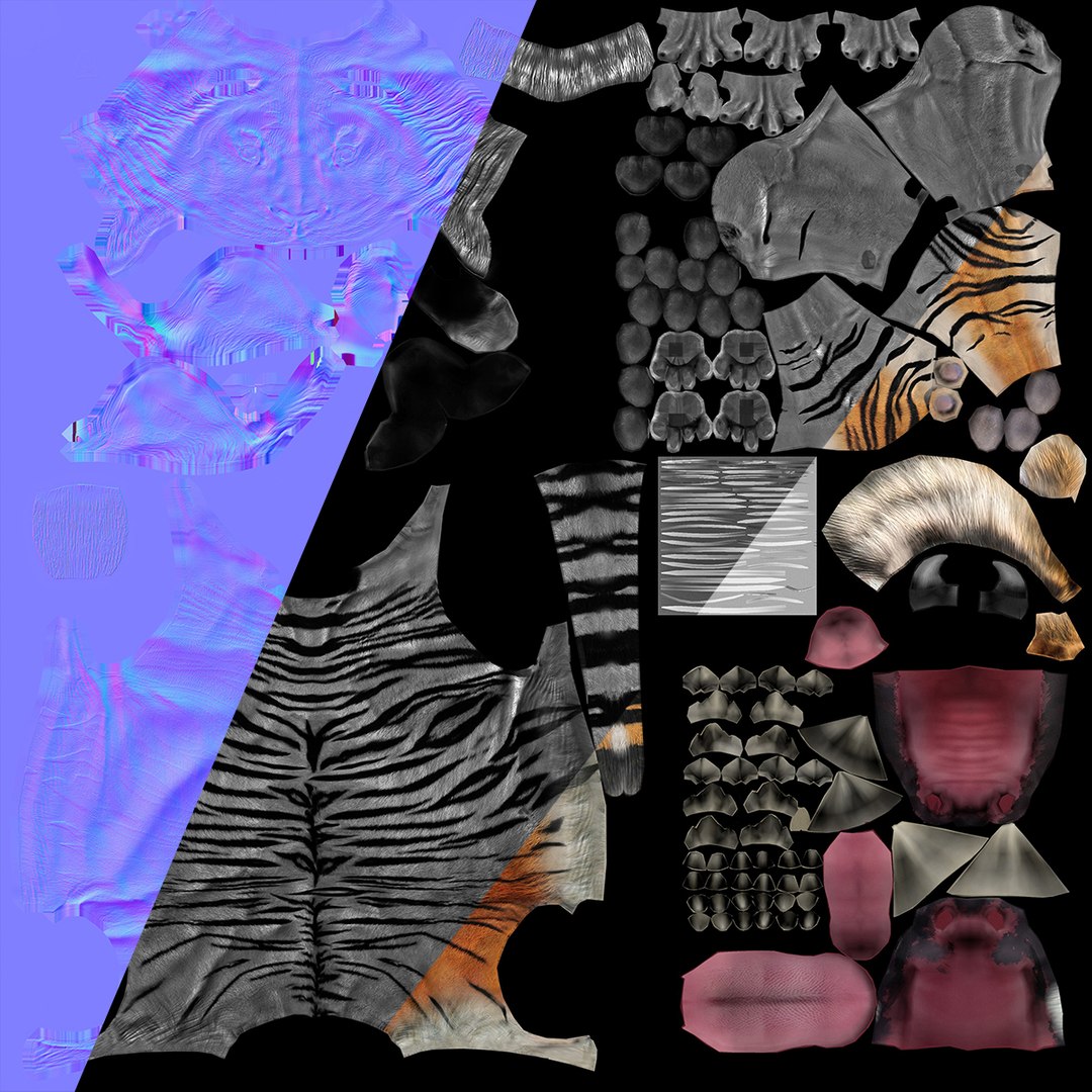 3D Model Tiger - TurboSquid 1401553