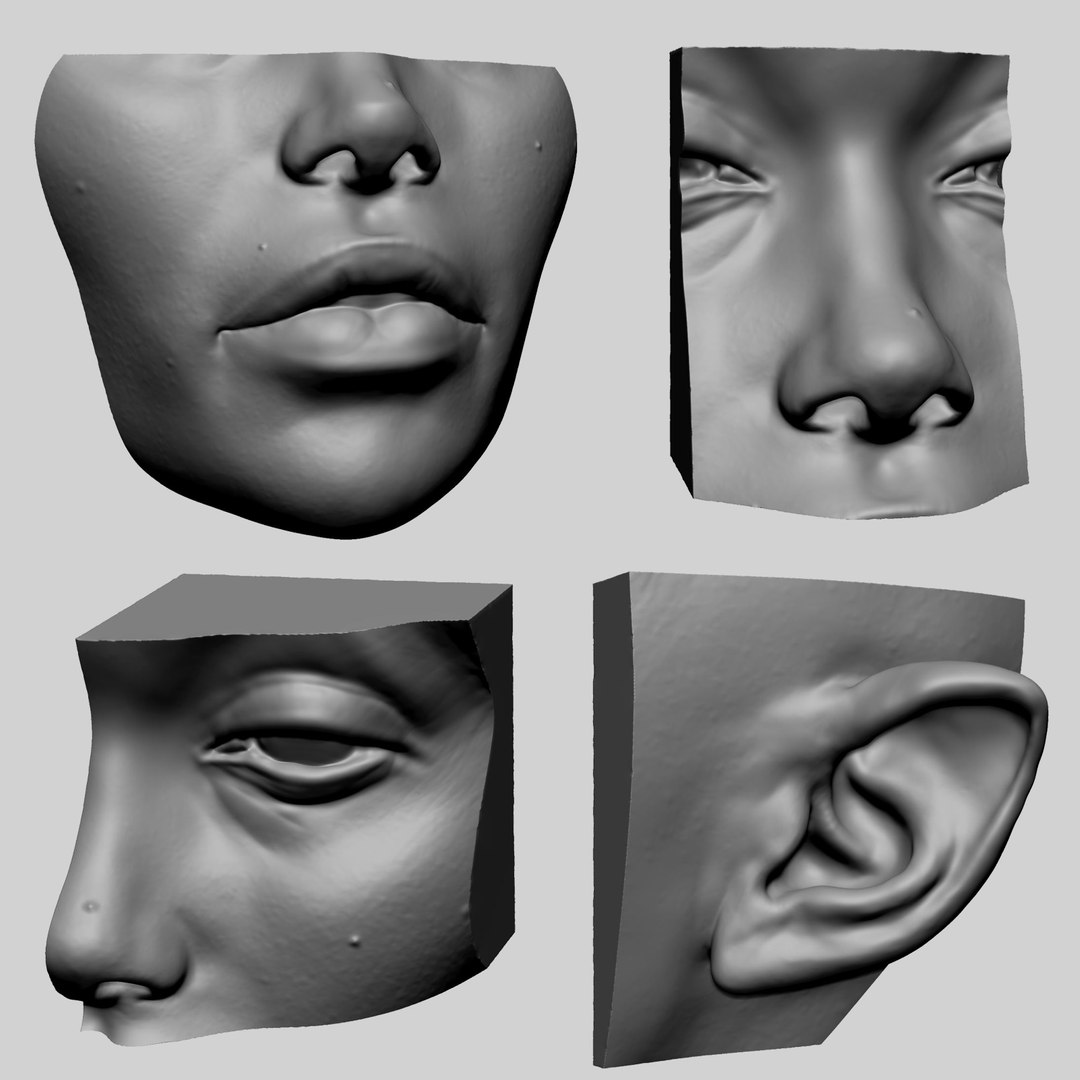 3d nose reference