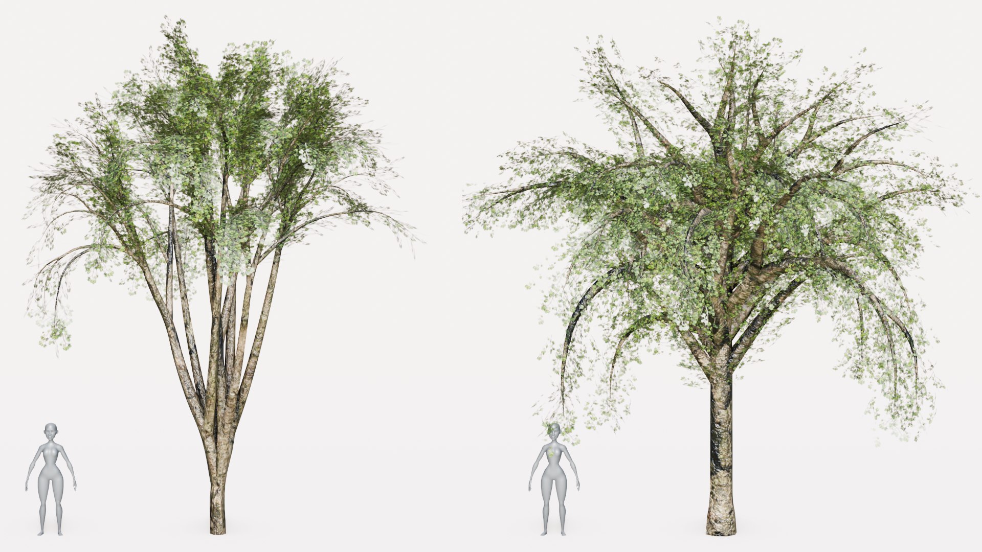 Plants Pack Tree And Bush Tree Model - TurboSquid 2140131