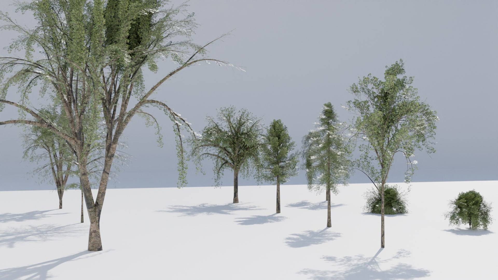Plants Pack Tree And Bush Tree Model - TurboSquid 2140131