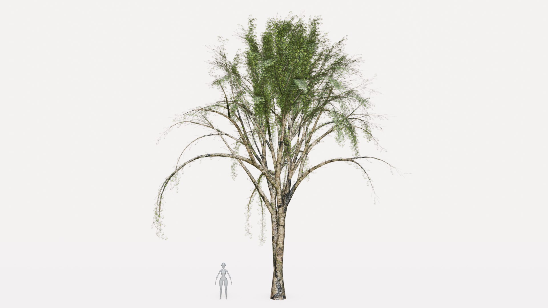Plants Pack Tree And Bush Tree Model - TurboSquid 2140131