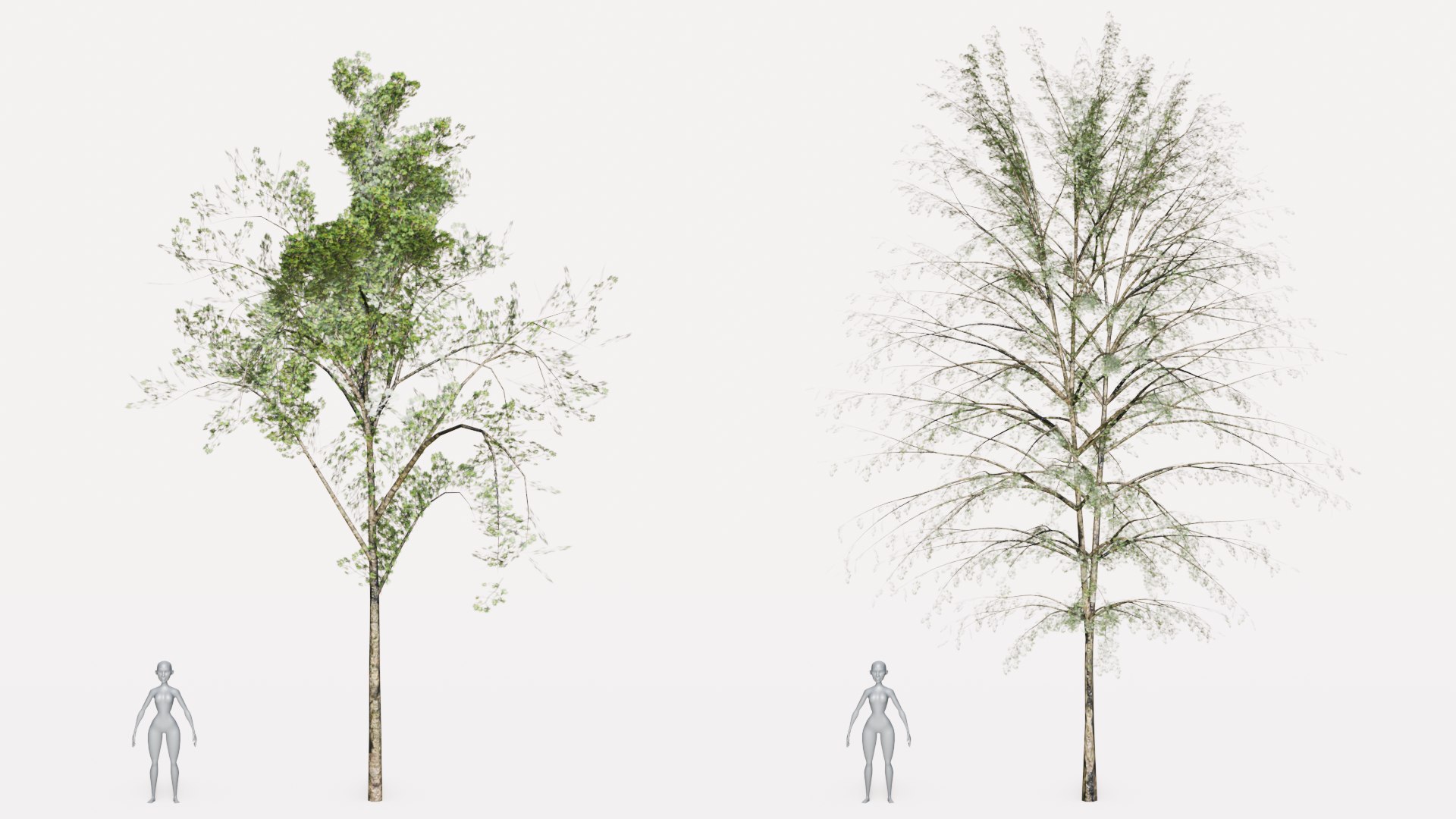 Plants Pack Tree And Bush Tree Model - TurboSquid 2140131