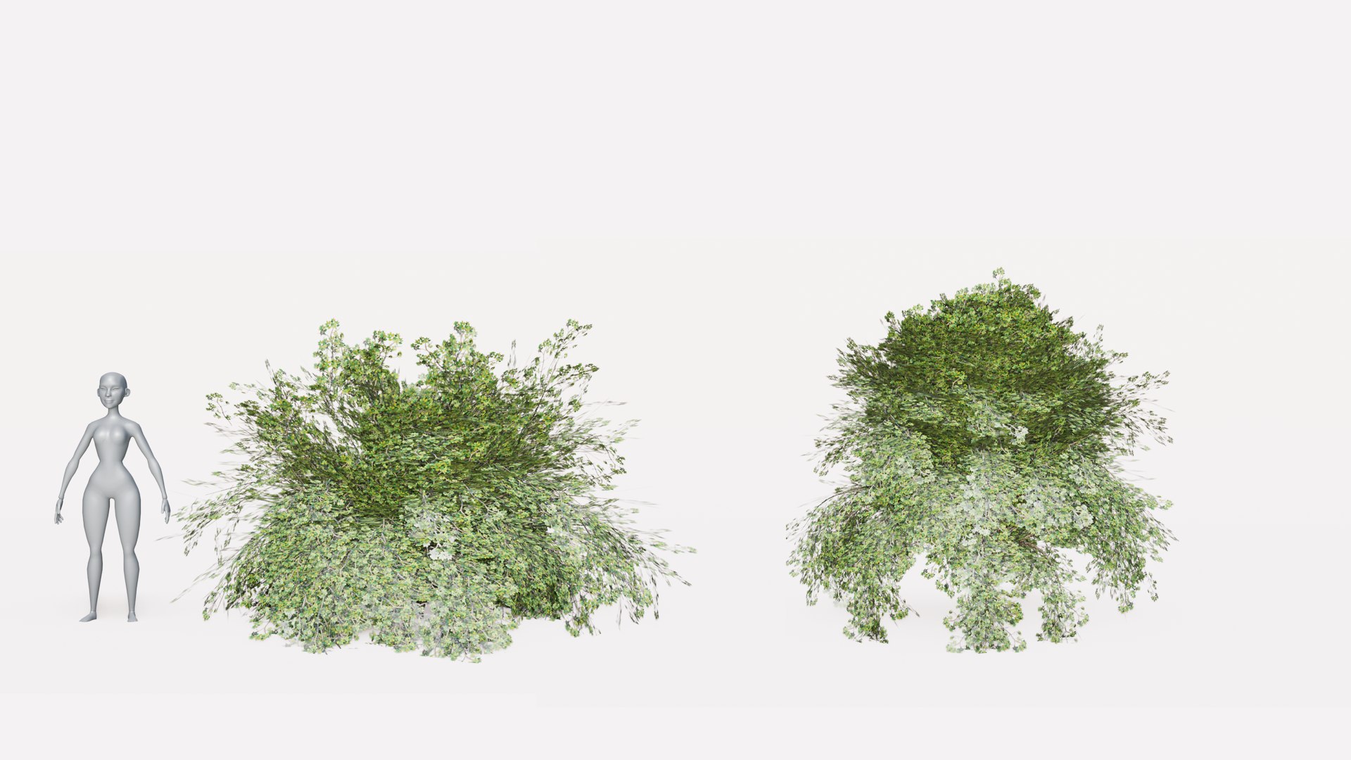 Plants Pack Tree And Bush Tree Model - TurboSquid 2140131