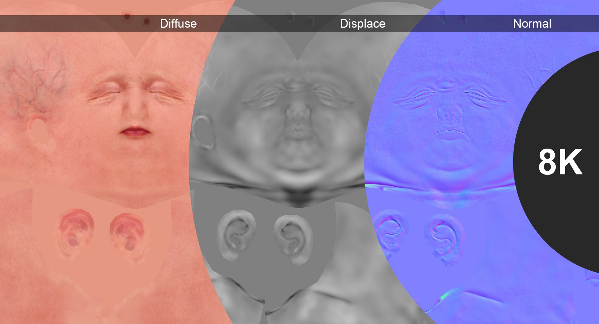 Fetus human 3D - TurboSquid 1501977