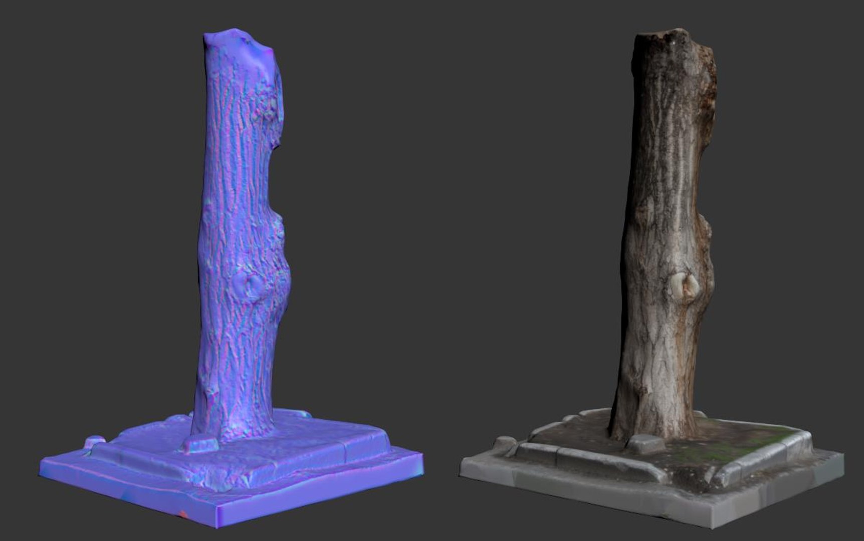 Tree trunk scan 3D - TurboSquid 1287702