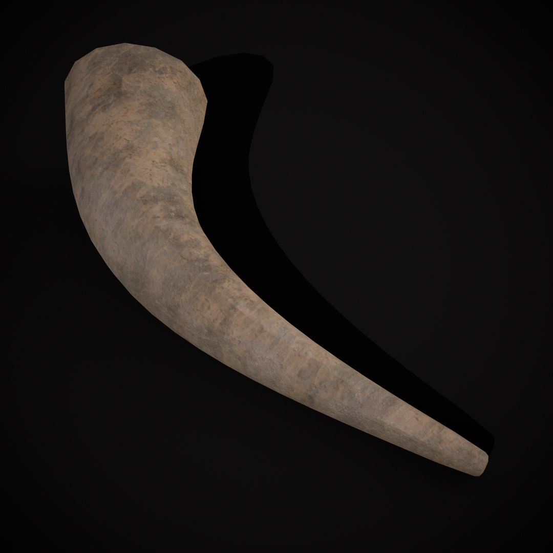 Wooden Medieval Dish Washing Set 3D Model - TurboSquid 1985070