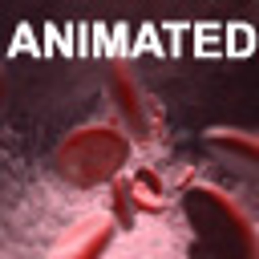 3d Blood Flow - Scene