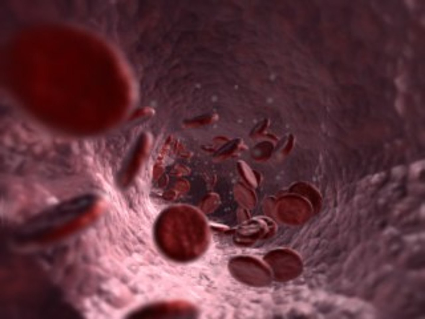 3d Blood Flow - Scene