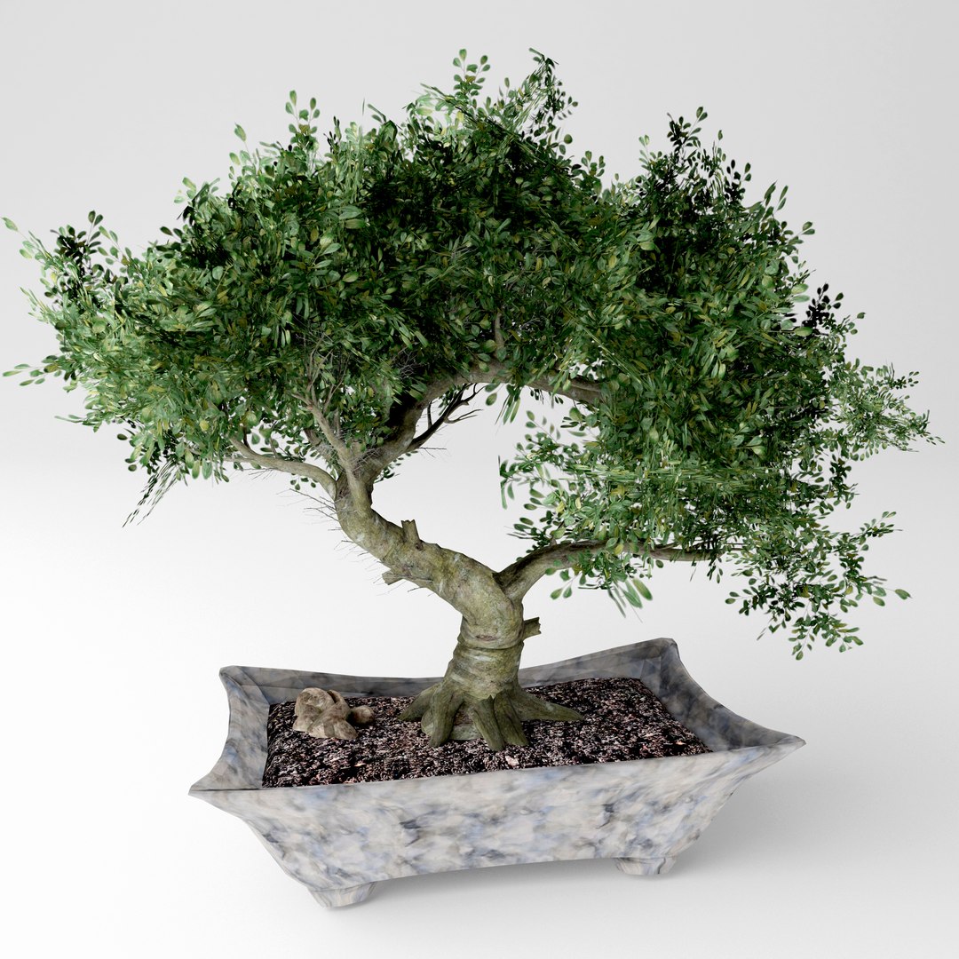3D Bonsai Model - TurboSquid 1535618