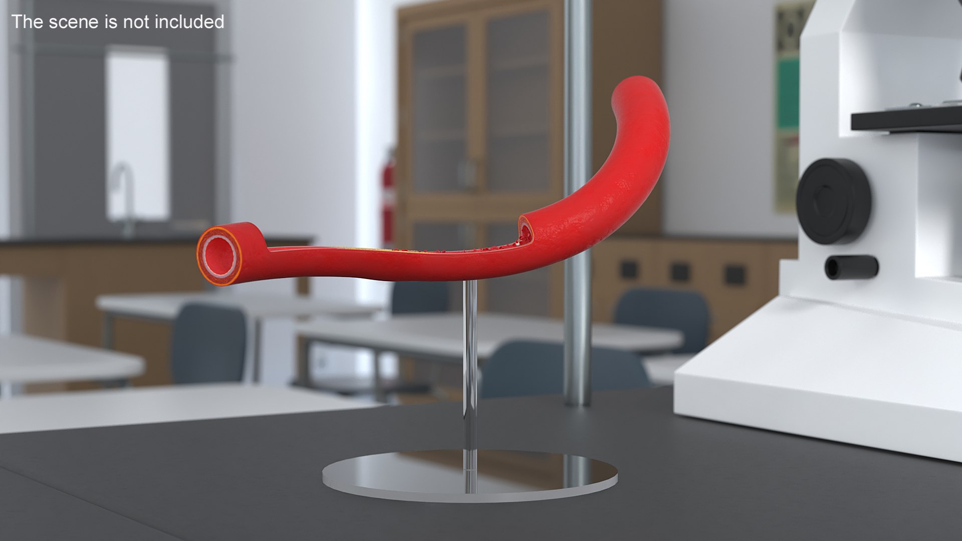 3D Cholesterol Blocked Artery In Cross Section Model - TurboSquid 2330141