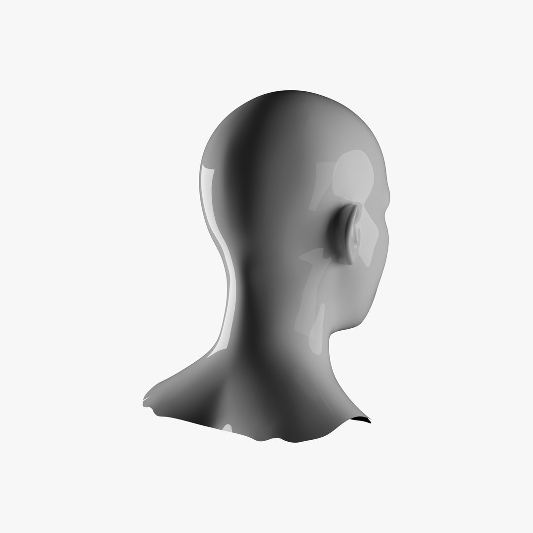 3D Female Mannequin Head Model - TurboSquid 2051084