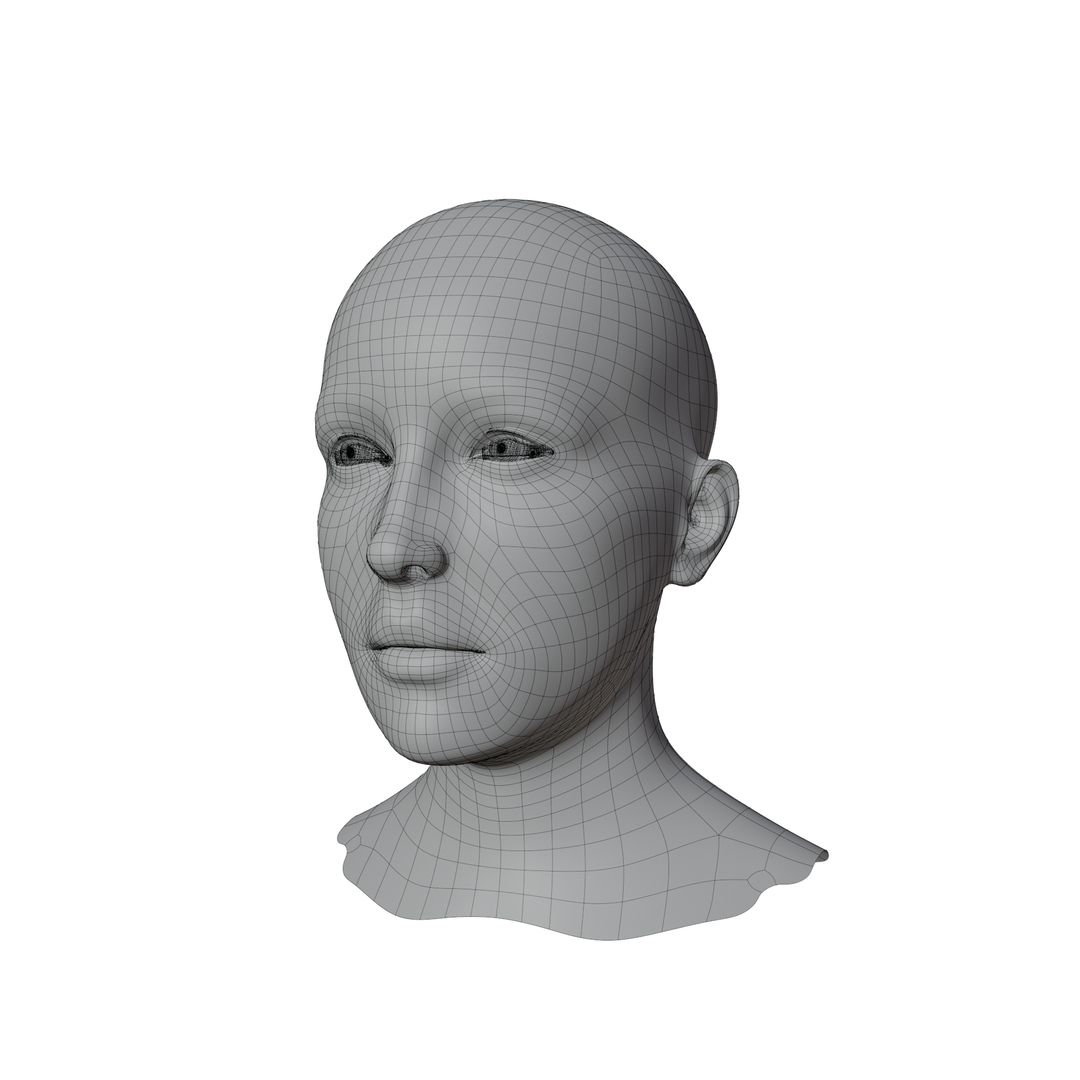 3D Female Mannequin Head Model - TurboSquid 2051084