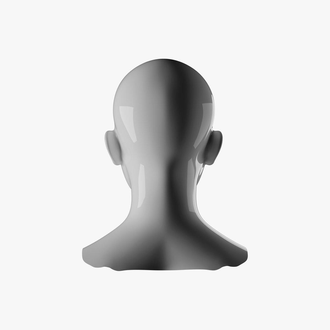 3D Female Mannequin Head Model - TurboSquid 2051084