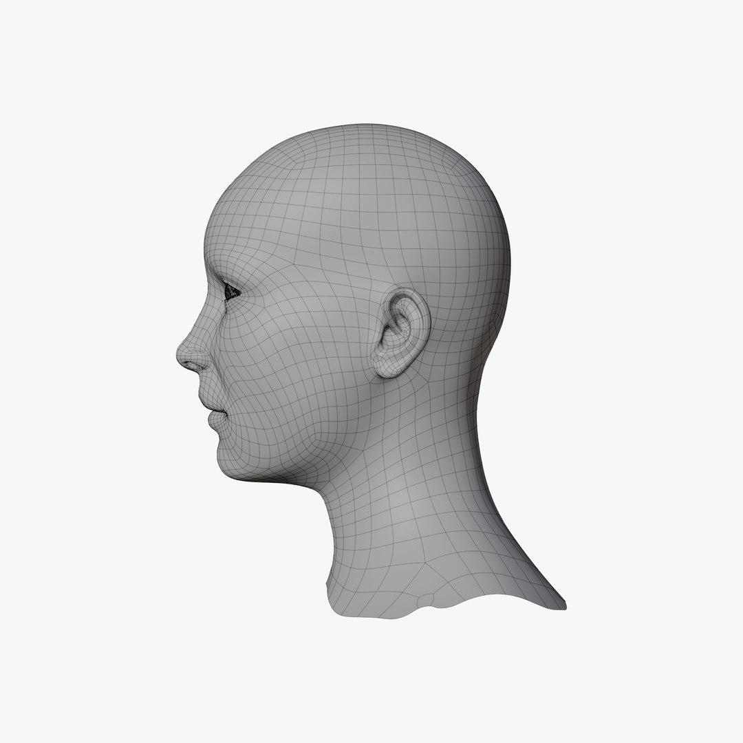 3D Female Mannequin Head Model - TurboSquid 2051084