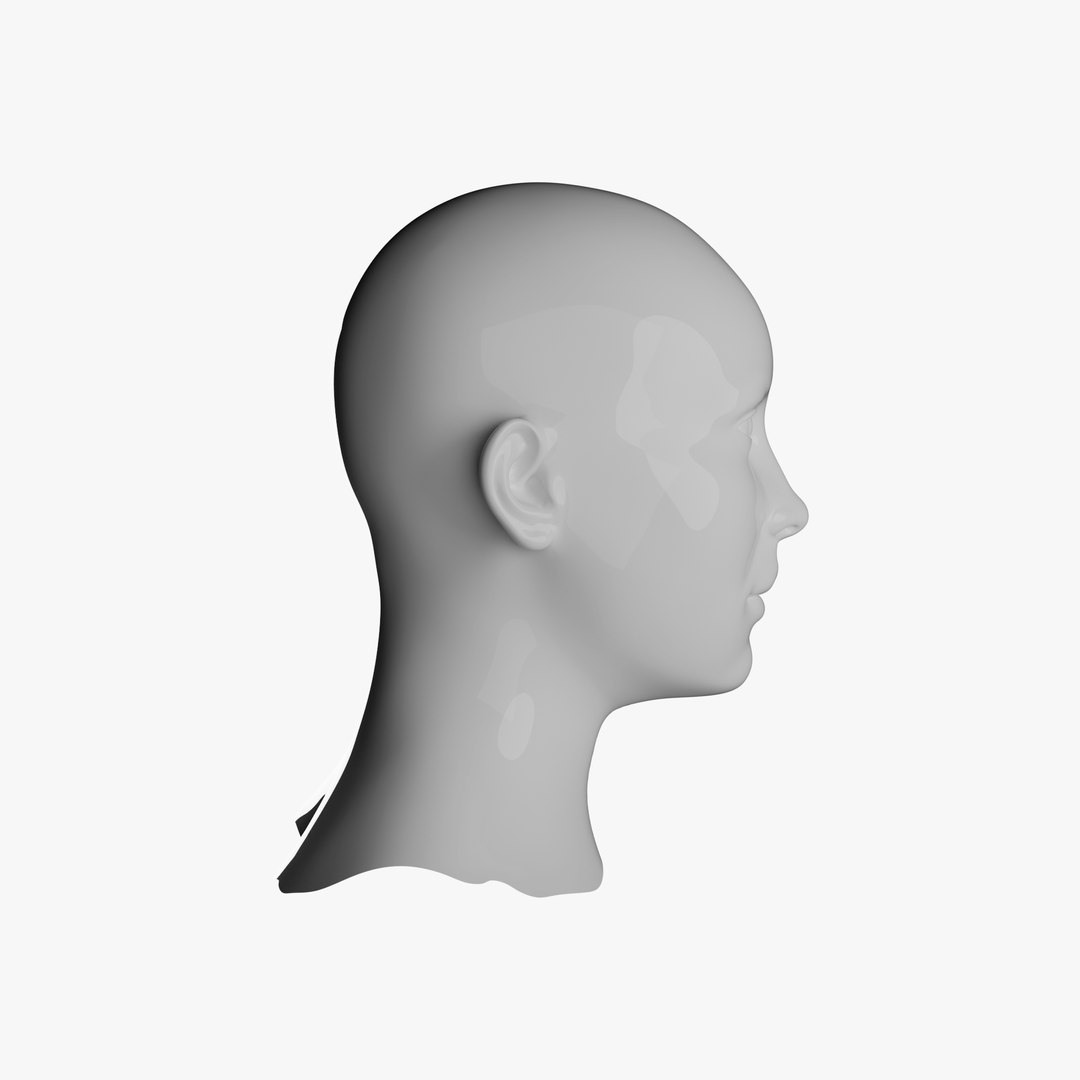3D Female Mannequin Head Model - TurboSquid 2051084