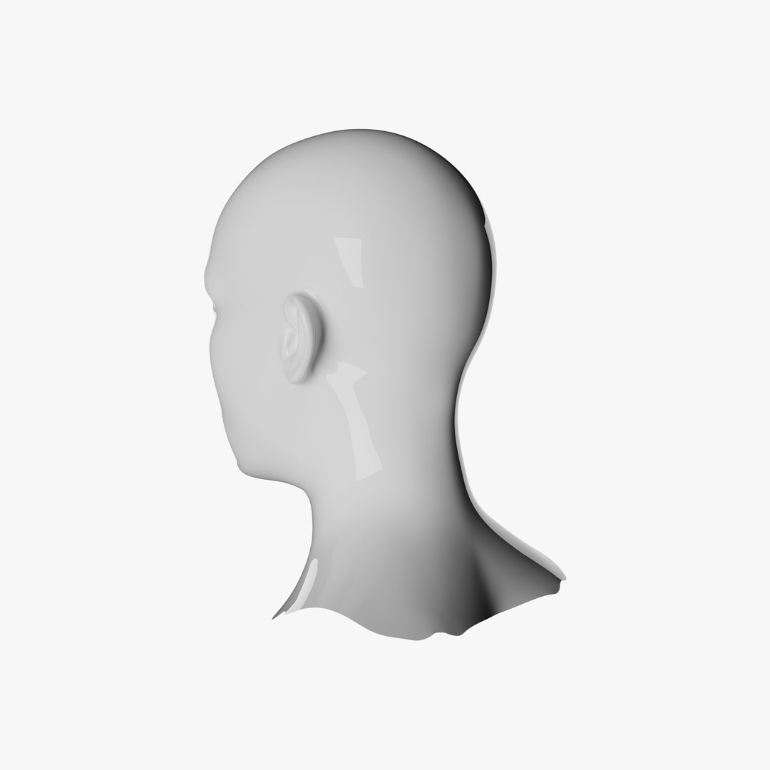 3D Female Mannequin Head Model - TurboSquid 2051084