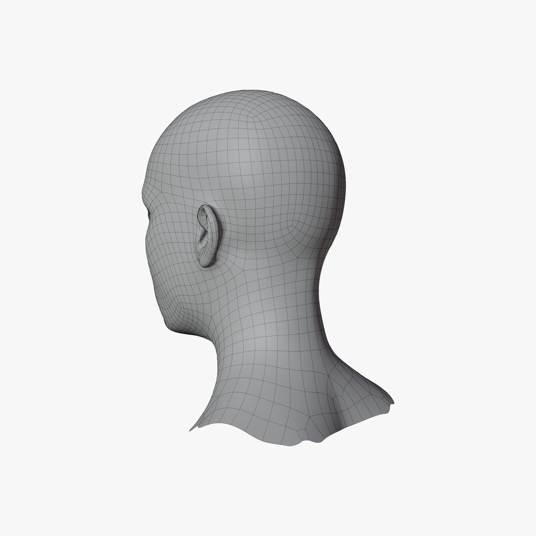 3D Female Mannequin Head Model - TurboSquid 2051084