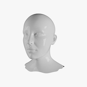Mannequin Head 3D Models for Download | TurboSquid