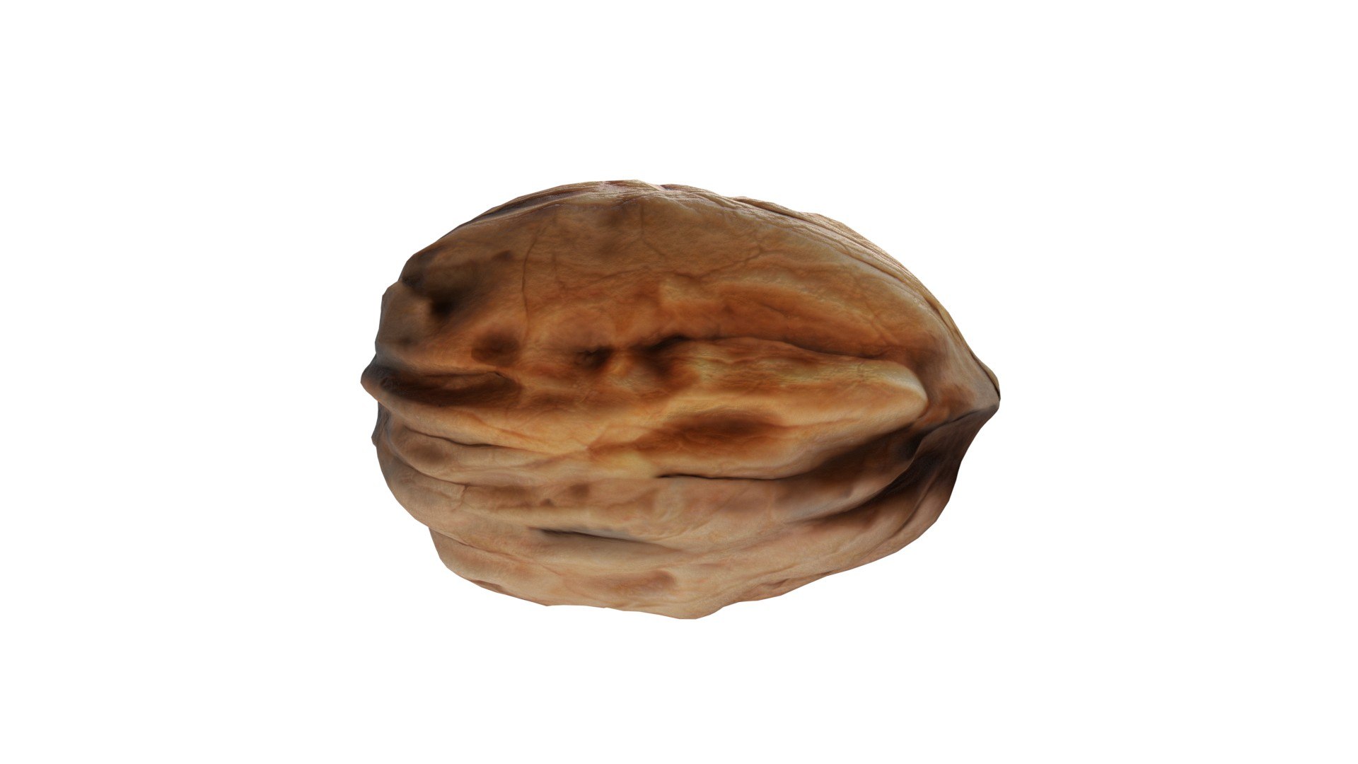 3D Model Walnut V2 - TurboSquid 2397143