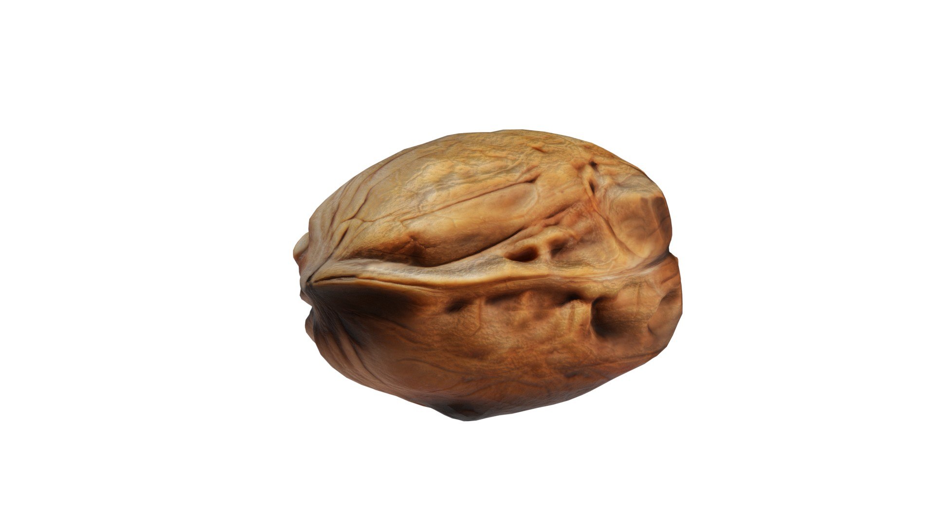 3D Model Walnut V2 - TurboSquid 2397143
