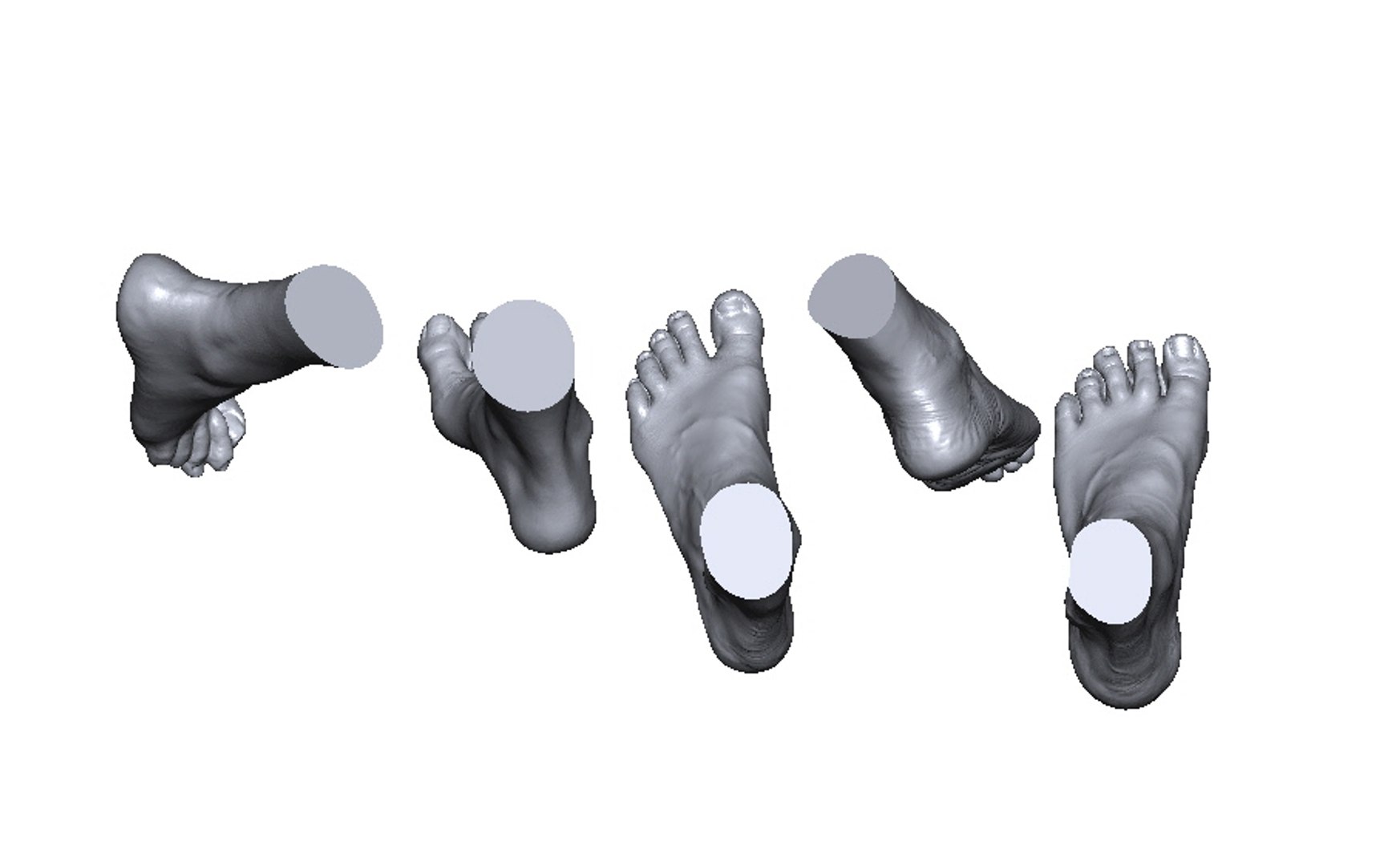 Scans Foot 3D Model - TurboSquid 1348831