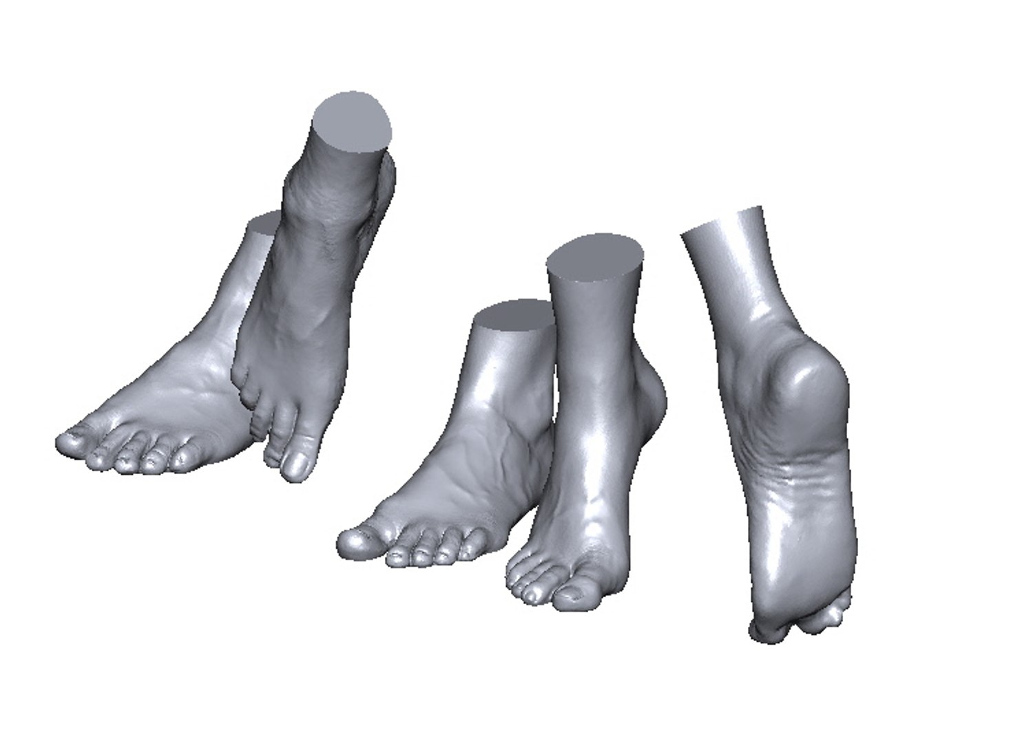 Scans Foot 3D Model - TurboSquid 1348831