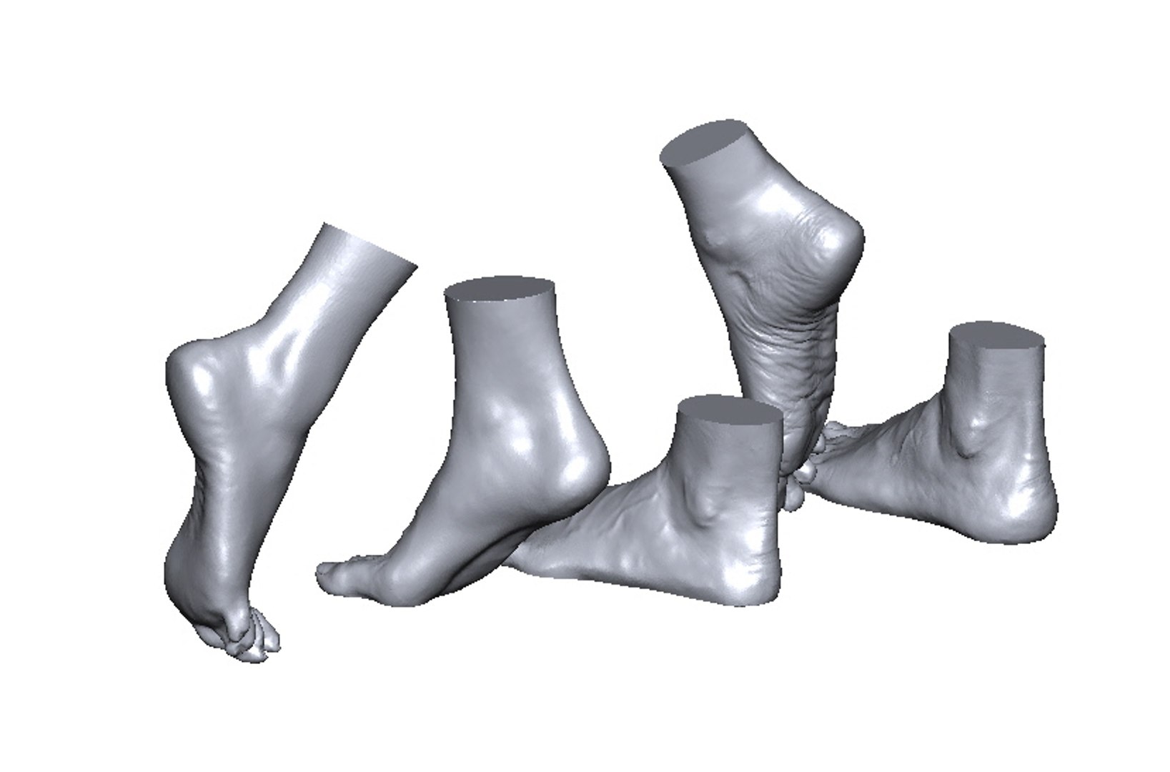 Scans Foot 3D Model - TurboSquid 1348831