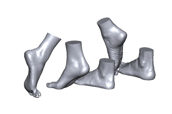 Scans foot 3D model - TurboSquid 1348831