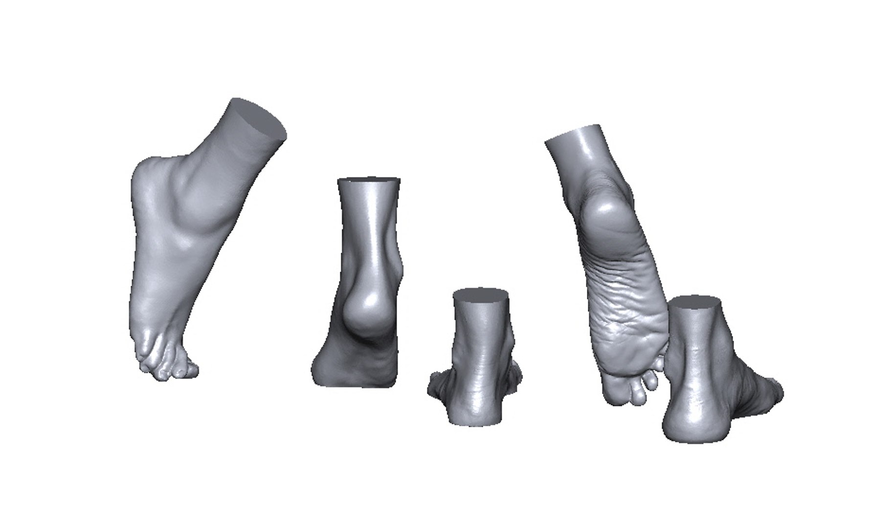 Scans Foot 3D Model - TurboSquid 1348831