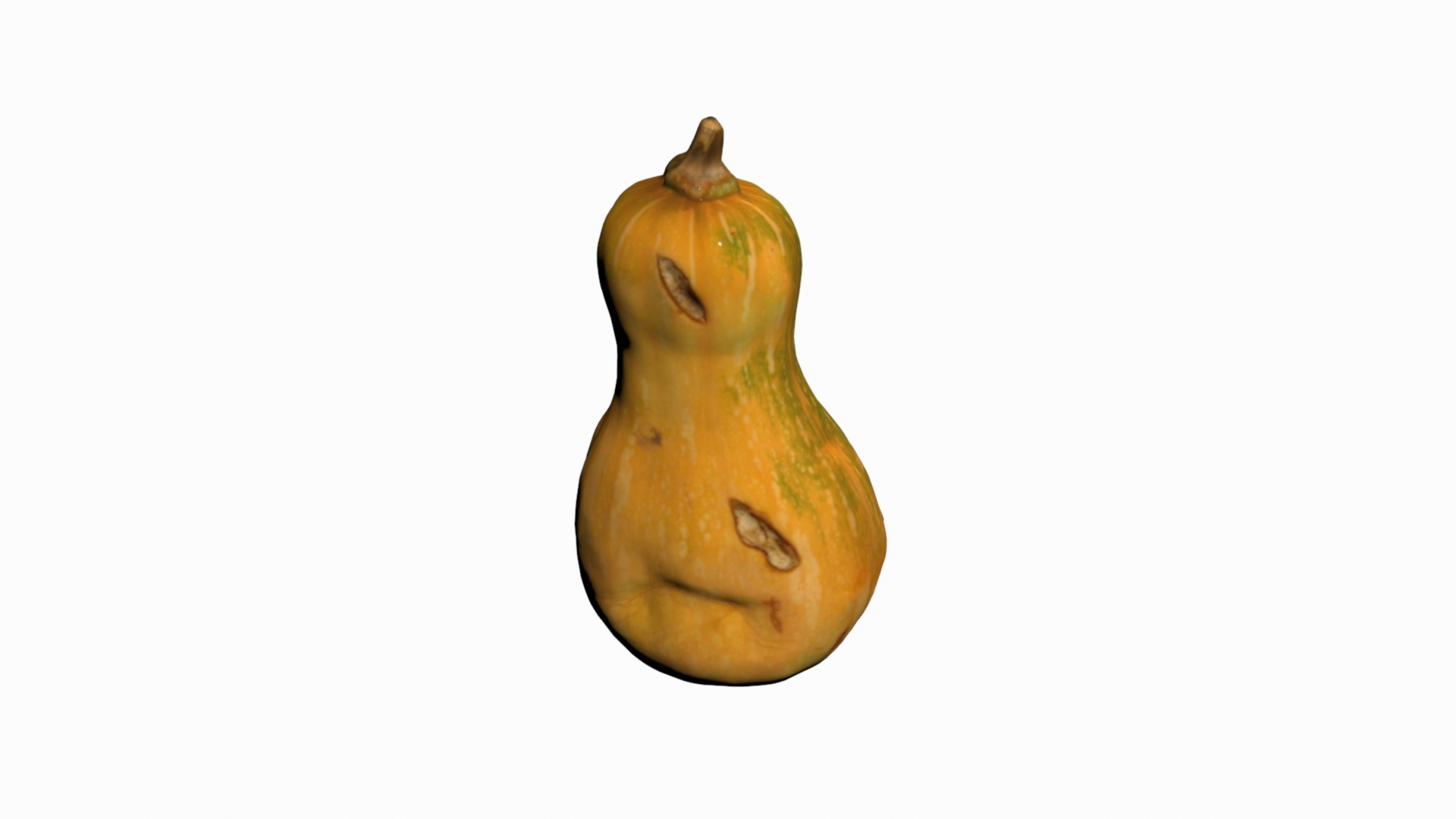 Gourd 3D Model - TurboSquid 1622134