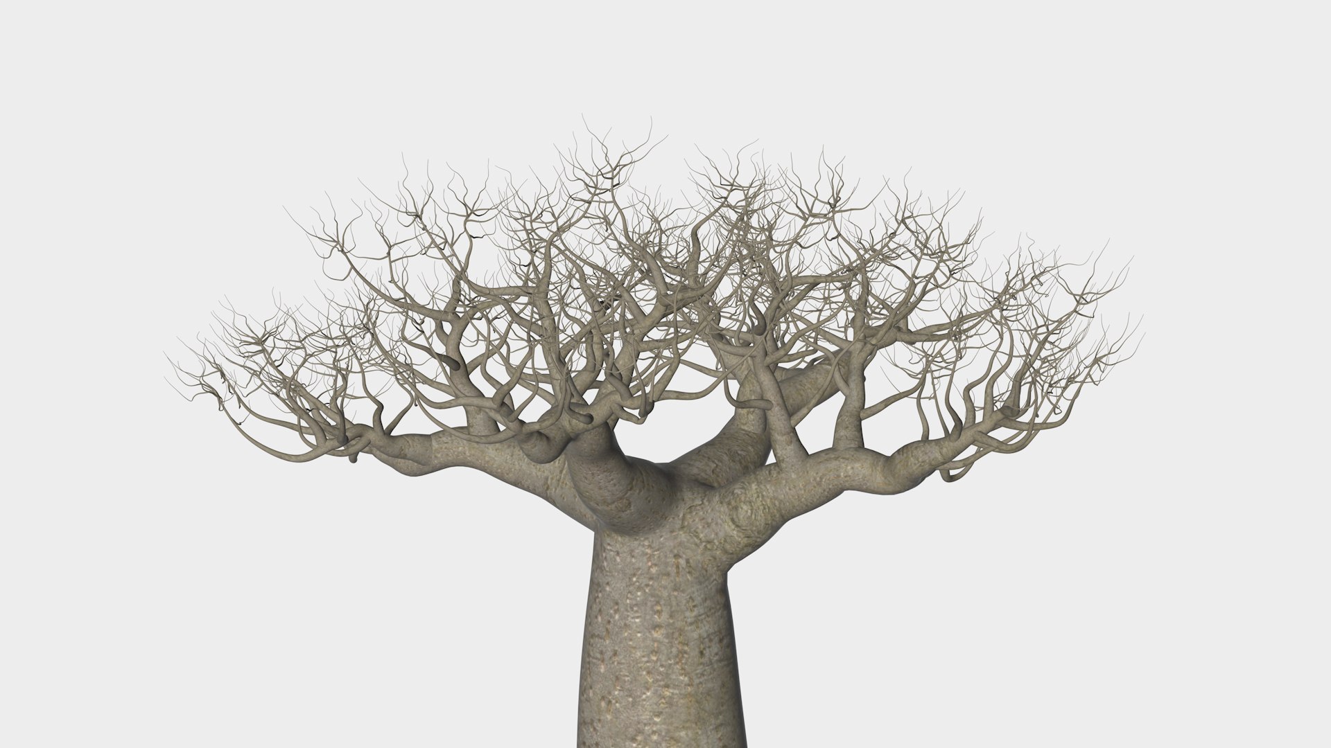 African Tree Africa 3D Model - TurboSquid 1674961