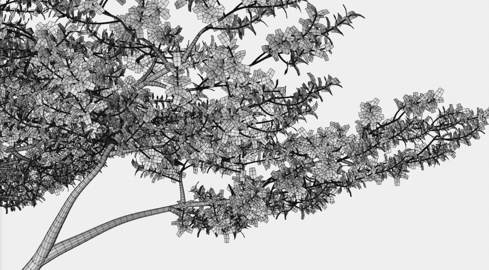 African Tree Africa 3D Model - TurboSquid 1674961