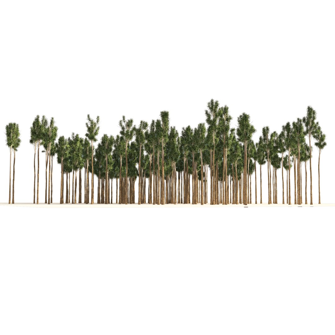 3D Flooded Gum Forest Tree - TurboSquid 2004621